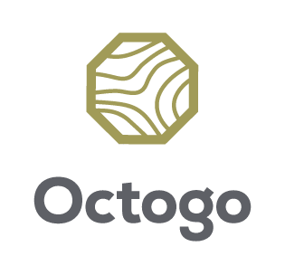 Présentation de notre équipe | Octogo